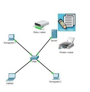 Cilat janë shërbimet në rrjetet kompjuterike? – Dautti