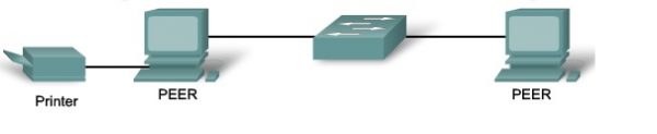 Rrjetet Kompjuterike – Dautti